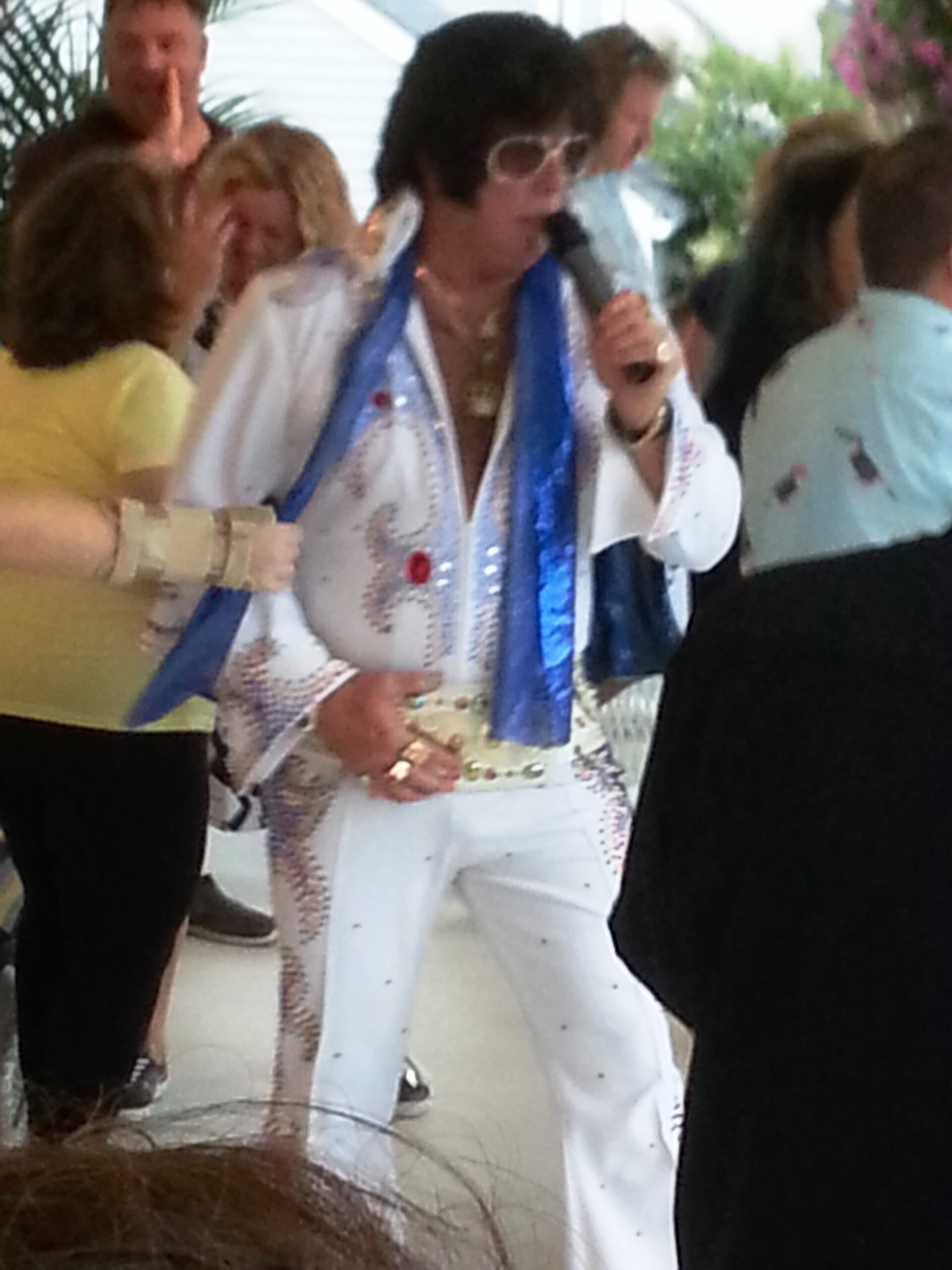 Are you an Elvis Fan? | Annmarie Kelly