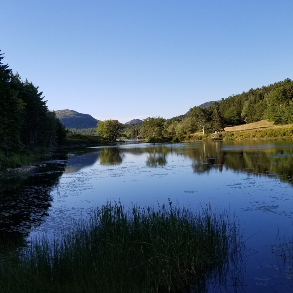 Jordan Stream Path | Annmarie Kelly