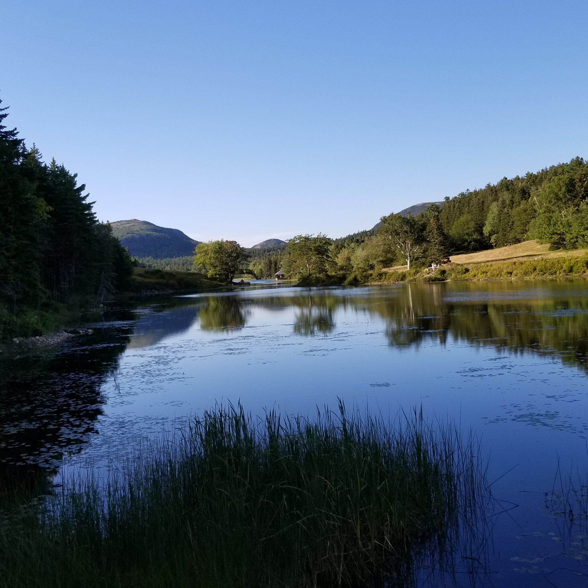 Jordan Stream Path | Annmarie Kelly